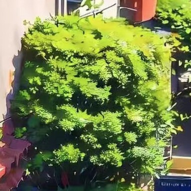阿强家百货超市