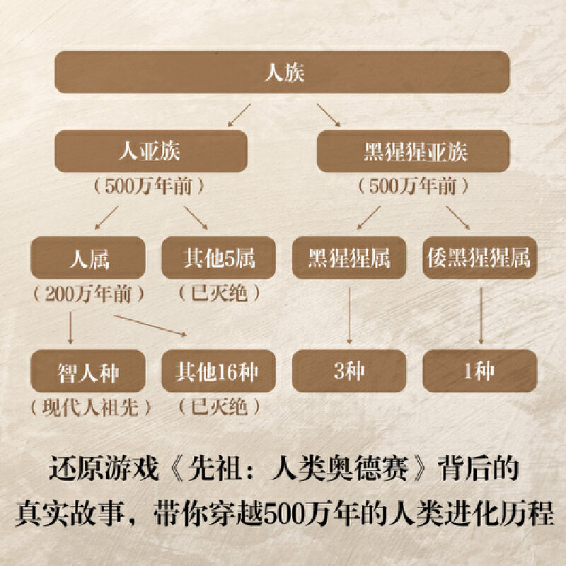 《人类崛起》：500万年人类演化的秘密，你真的了解吗？-人类-淘宝好物网