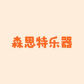 森思特乐器