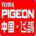 中国飞鸽玩具店