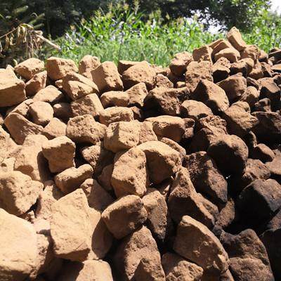 Xenophilia smoked yellow food soil bar cake smoke mastic roasted smoked ...