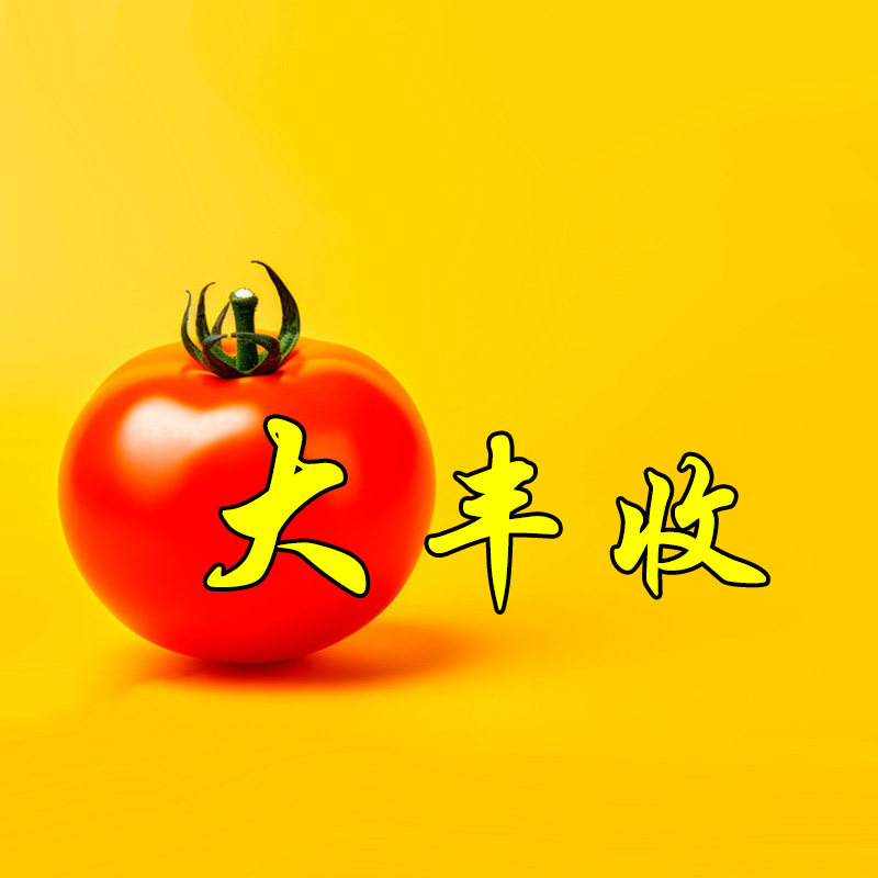 大丰收甄选仓