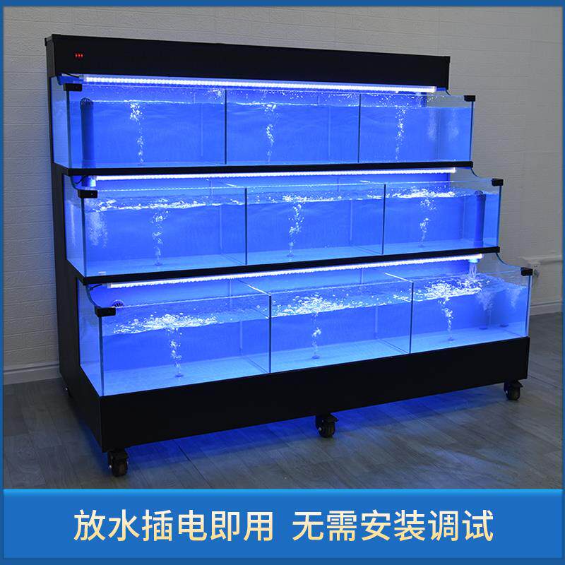 Seafood chiller display case: the new favorite for your seafood restaurant!