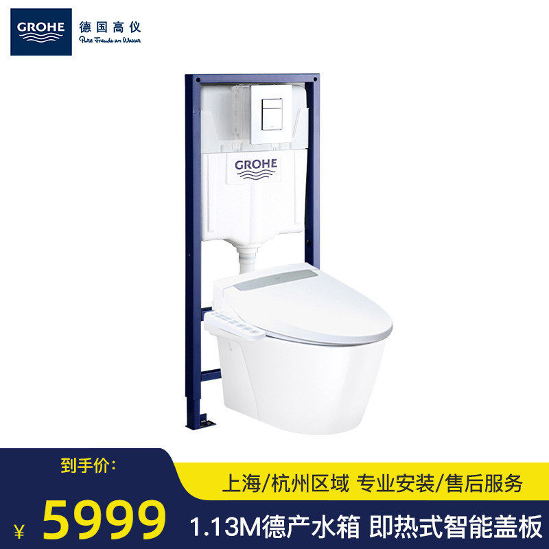 [USD 2328.07] Grohe German High Gauge Inlet Wall Mounted Toilet Hidden ...