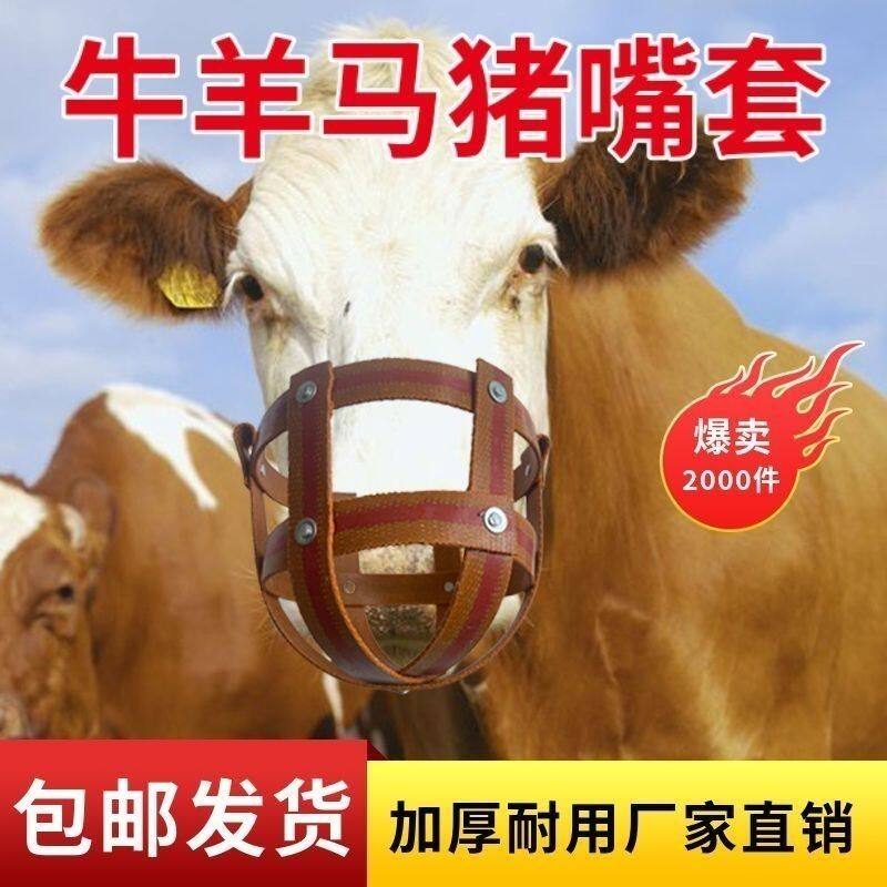 Horse and cow muzzle muffs: bite-proof protection for your horses and ...