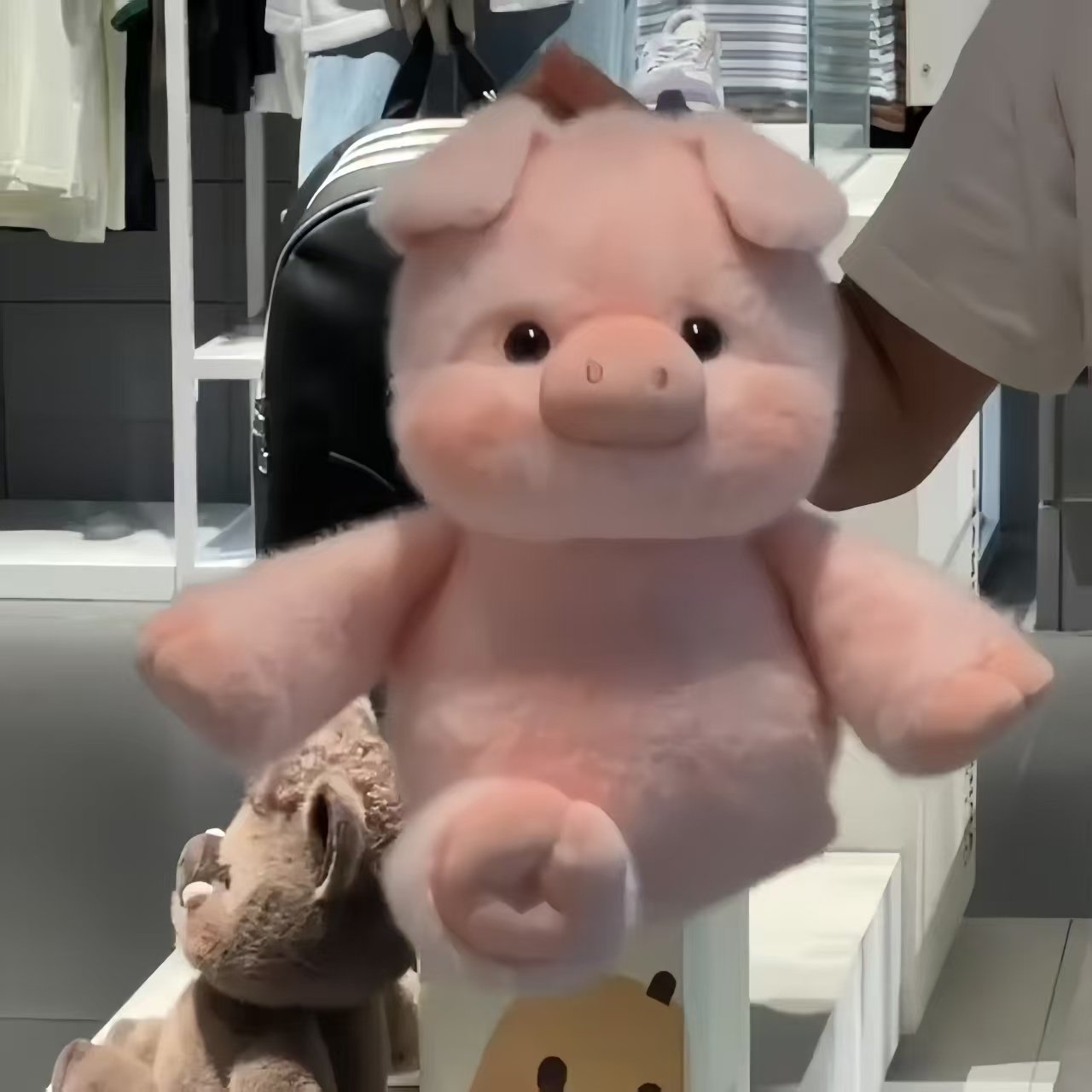 Running piggy plush: adorable zodiac piggy, waddles around quirky and ...