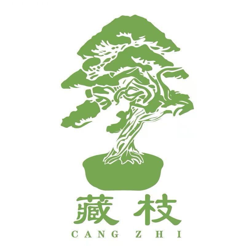 藏枝旗舰店
