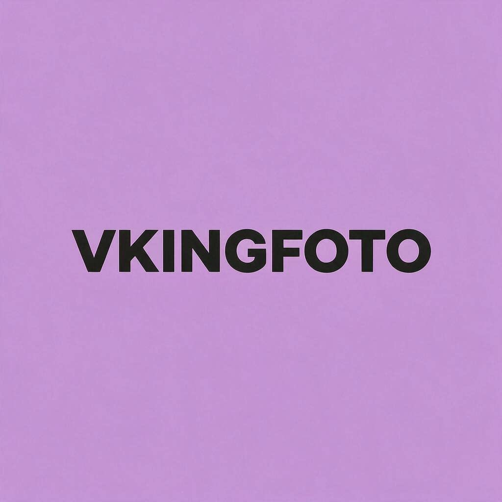 VKINGFOTO旗舰店