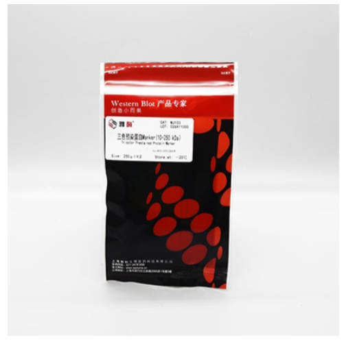 雅酶试剂 三色预染蛋白Marker 10 KDa~250 KDa WJ103