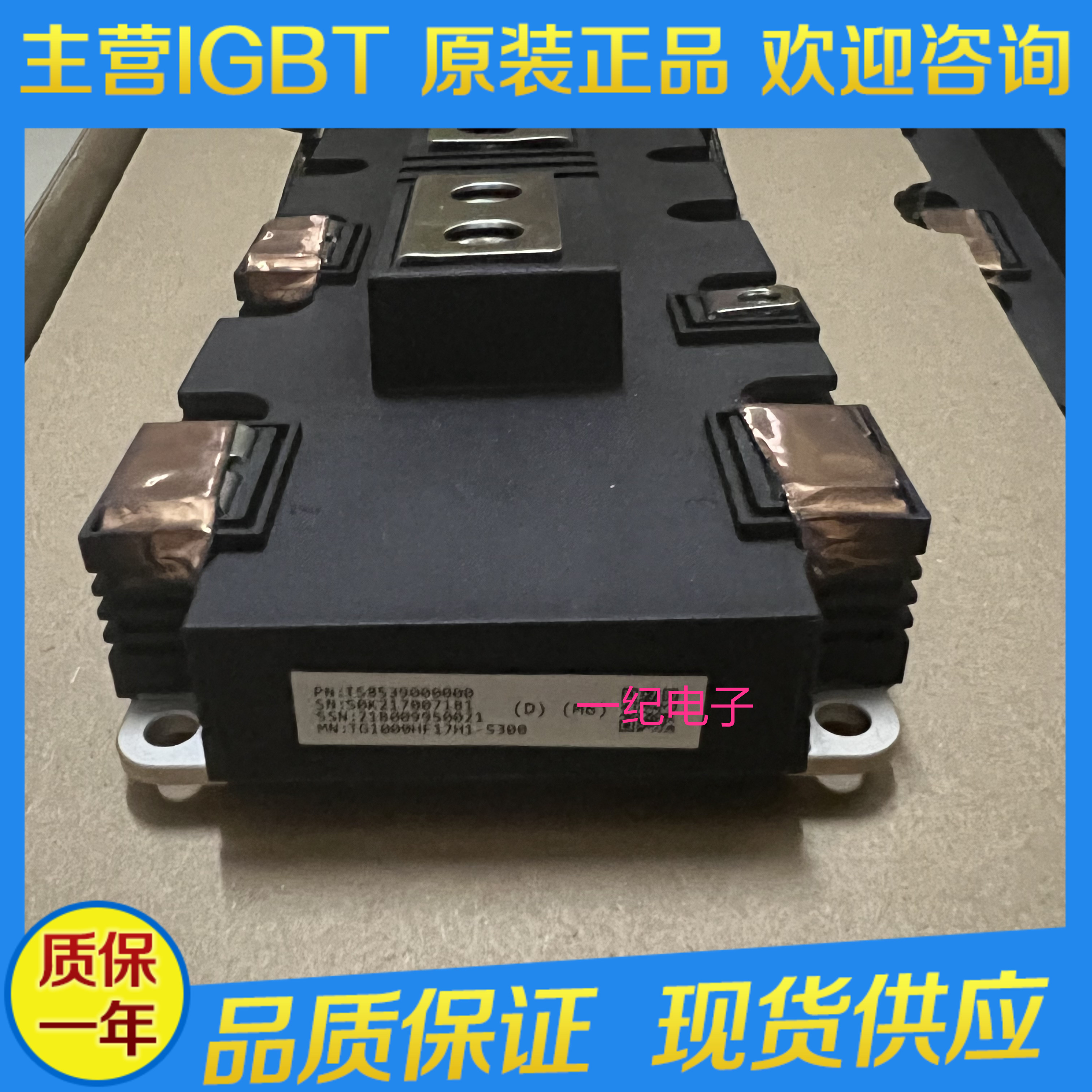 TG1000HF17H1-S300 1000A 1700V 双管IGBT现货