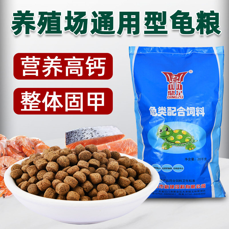 [USD 15.13] Dingfoot Turtle Feed Stone Money Turtle Grass Turtle ...