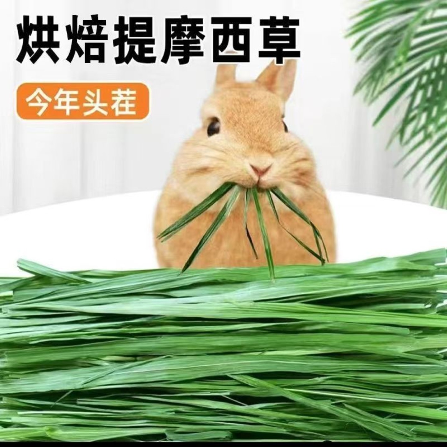 2025 new dried timothy hay segments for young rabbits | rabbit food ...