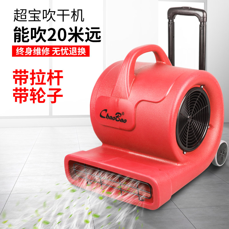 [USD 214.89] Chao Bao CB-900C blowing ground dryer house commercial ...