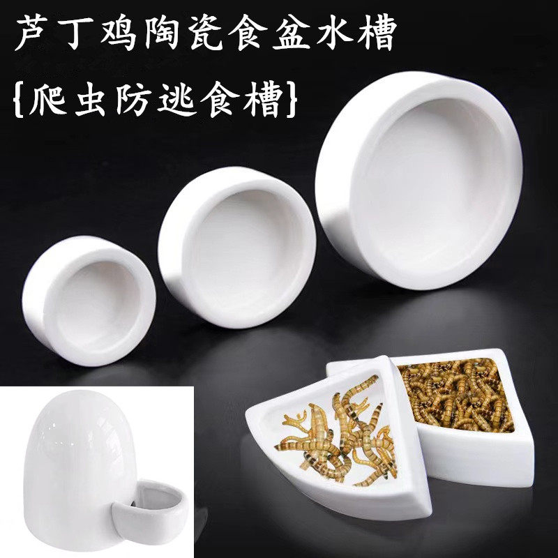 Lutein chicken anti-spill trough feed box 🐥 🍽️