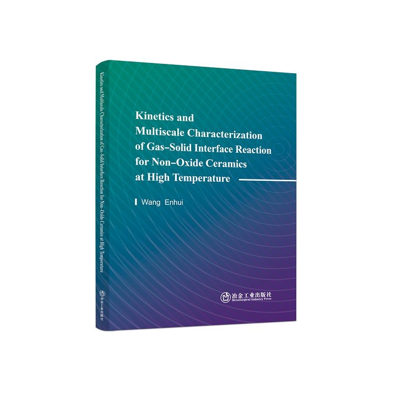 Kinetics and Multiscale Characterization of Gas-Solid Interface ...