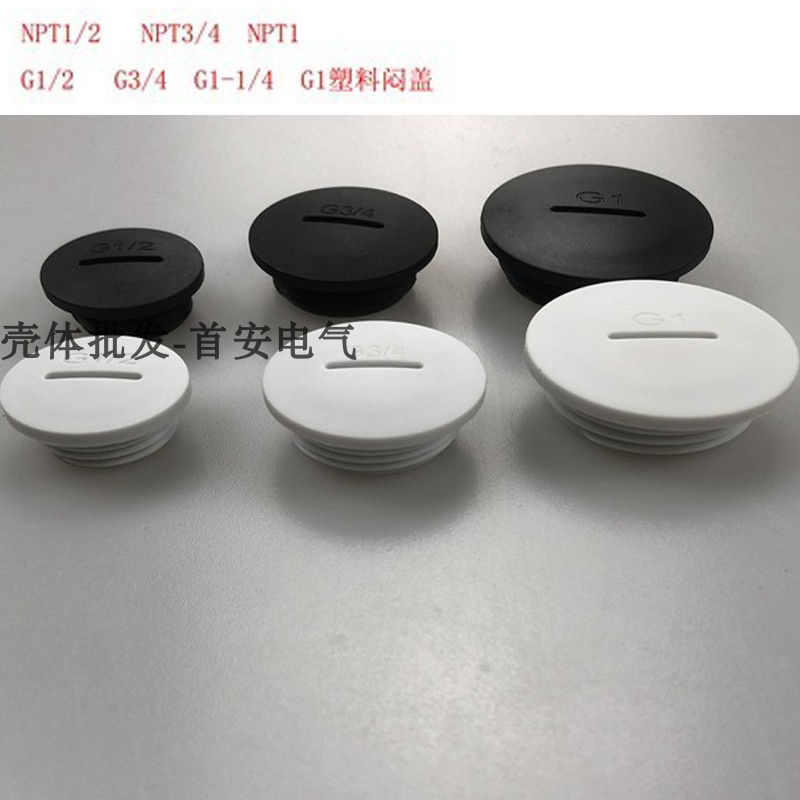 G1/2 G3/4塑料防水闷盖堵头NPT1/2 NPT3/4预留密封孔塞螺纹塞闷头-Taobao Singapore