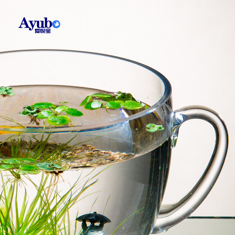 Fish tank aquarium aquarium Creative large bowl ecological goldfish ...