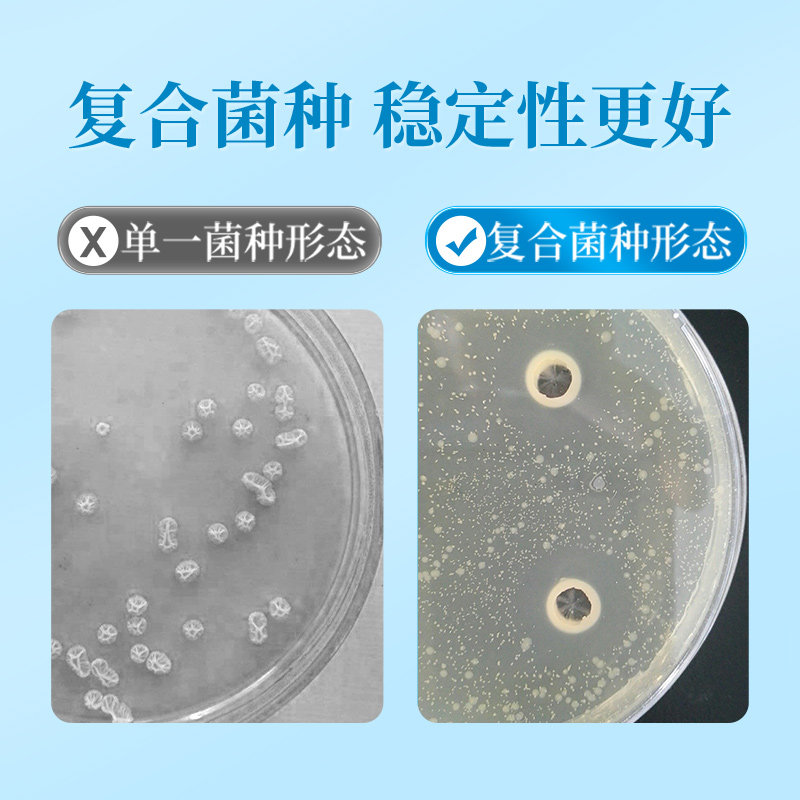 [USD 11.56] Hua Livestock Compound Bacillus Subtilis Aquaculture ...