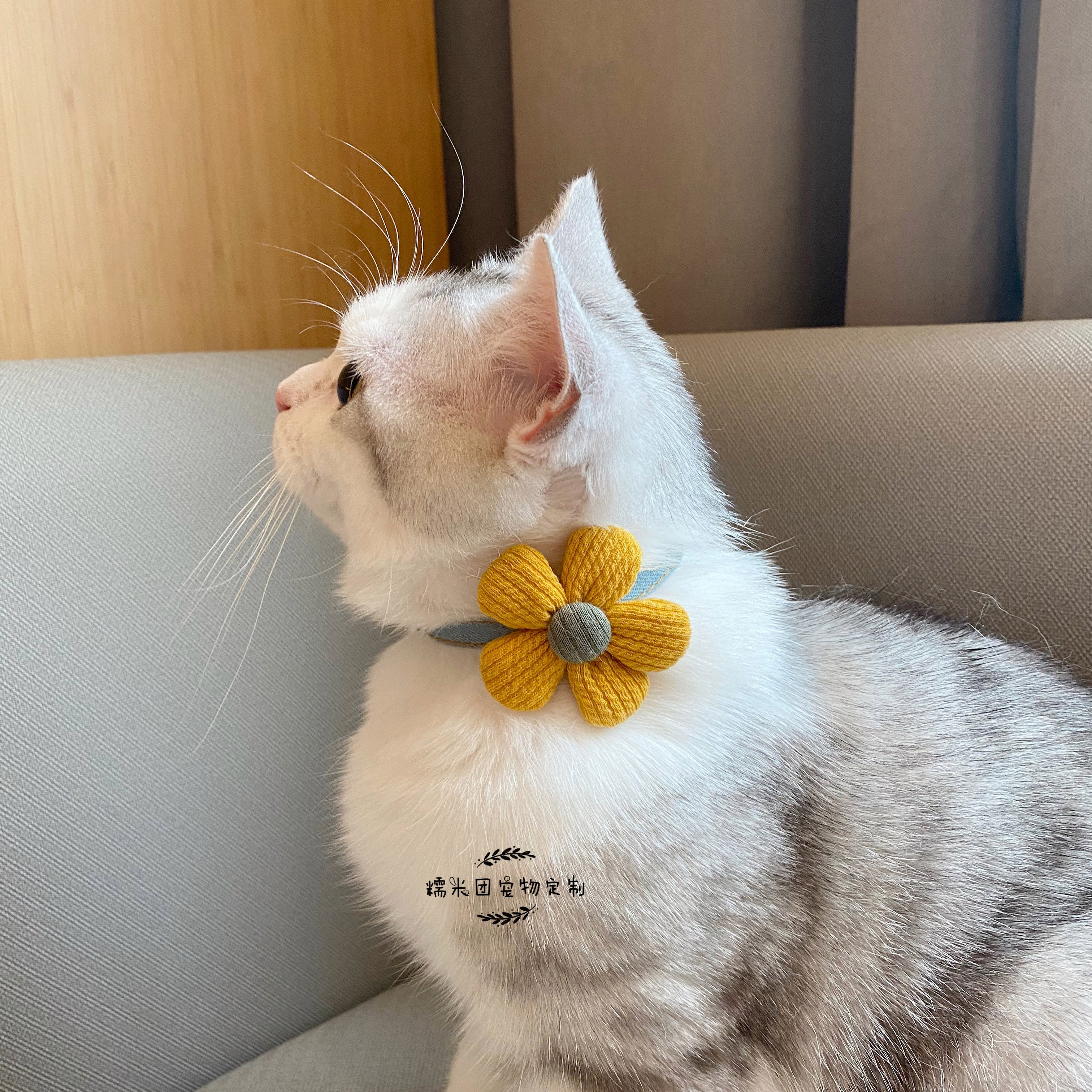 So cute! new handmade flower bow ties for kittens and puppies will make ...