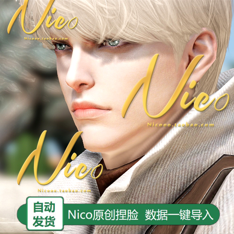 Nico原创 失落的方舟 男枪 猎人捏脸数据 帅气高冷Steam欧美 俄服 - Taobao