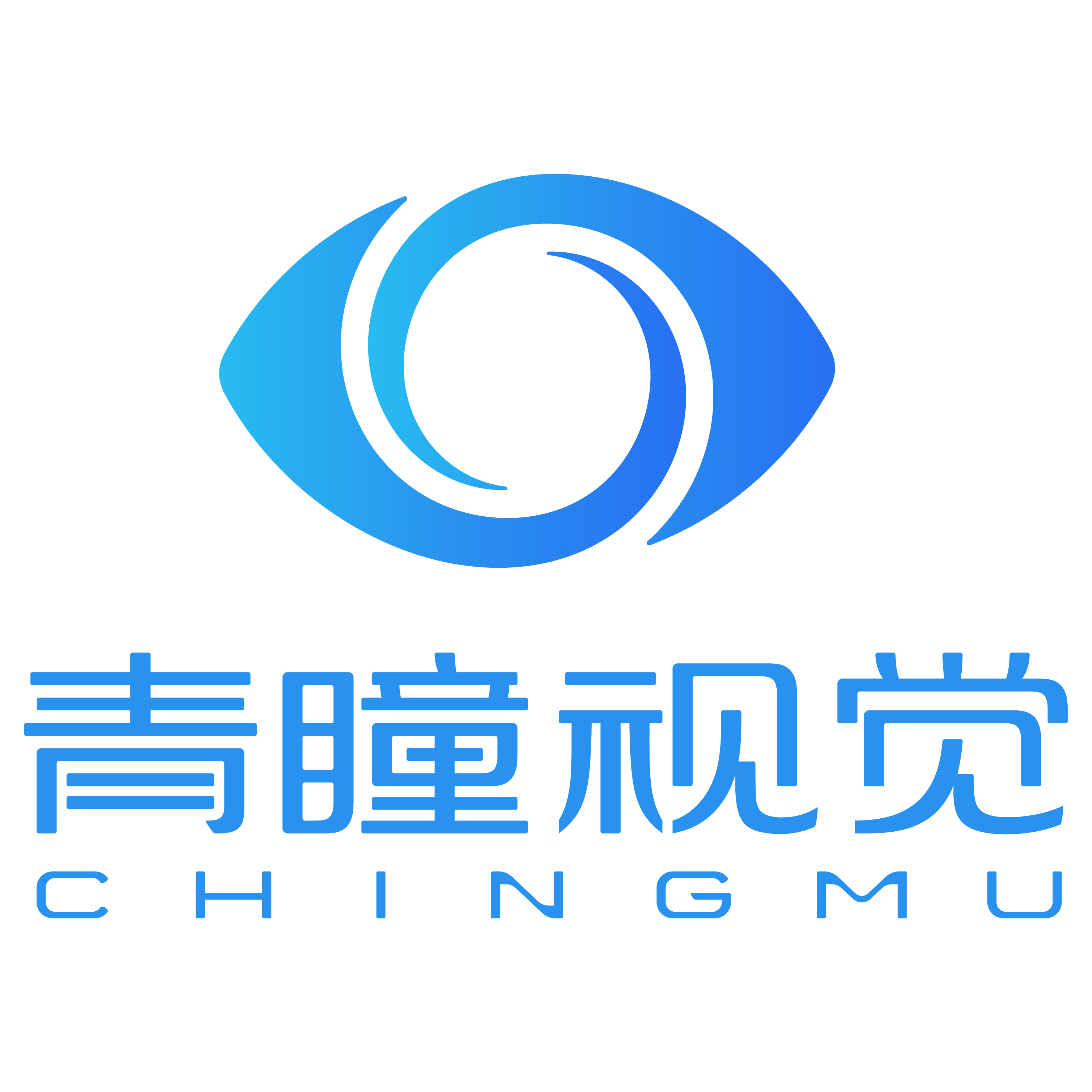 青瞳视觉