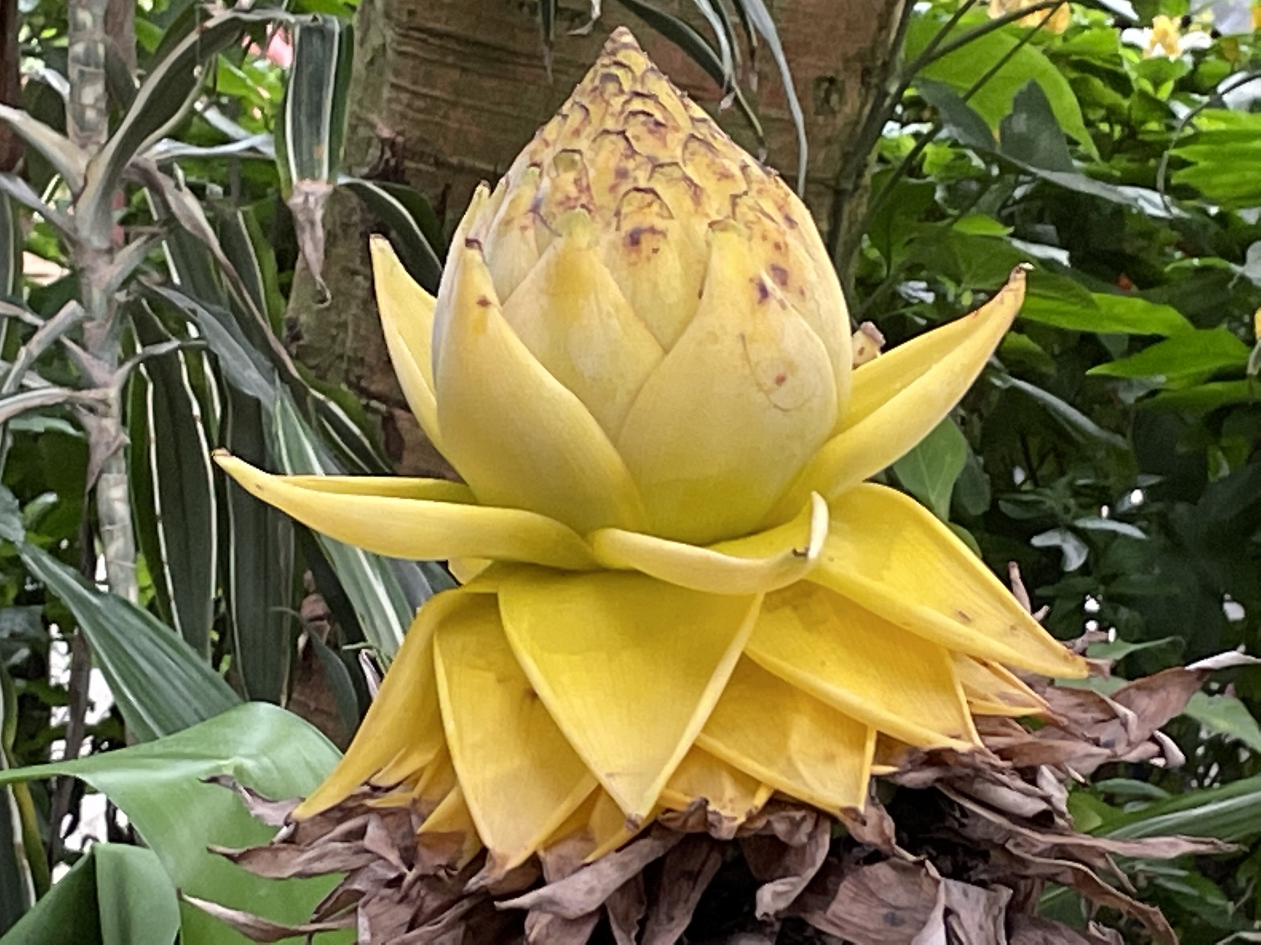 万顺贸易精选