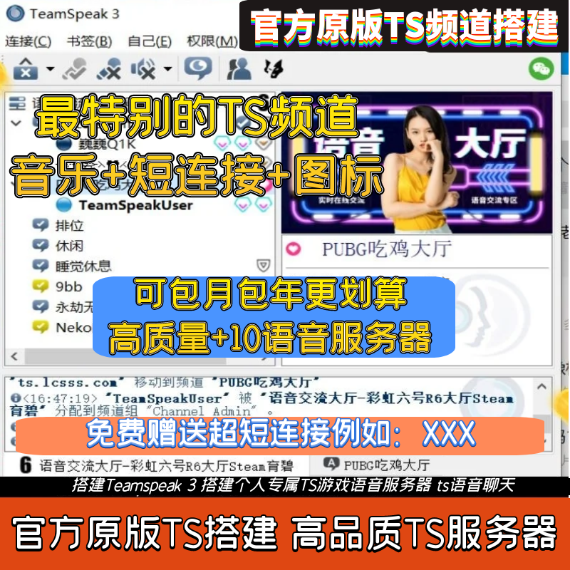 ts语音连接频道地址 teamspeak3搭建 ts聊天高品质游戏语音一年-Taobao
