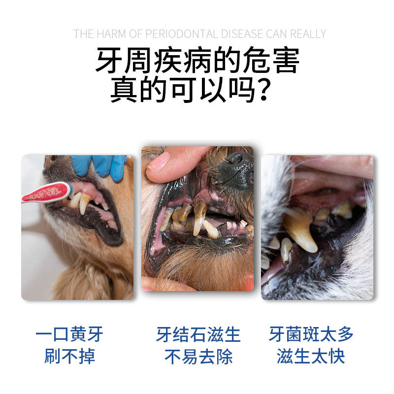 TrisDent洁齿凝胶：宠物口腔健康的守护神！解决牙龈肿胀、牙菌斑和牙结石难题！-狗口腔清洁-淘宝好物网