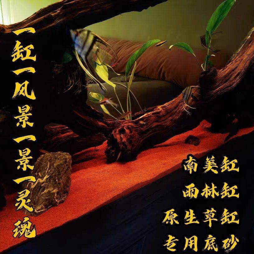 Noritake EX-3 DENTIN 50g：牙科美学的革命性突破，你不可不知的秘密武器！-指甲装饰-淘宝百科网