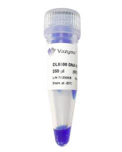 诺唯赞Vazyme DNA marker DL5000 100rxn MD102-02