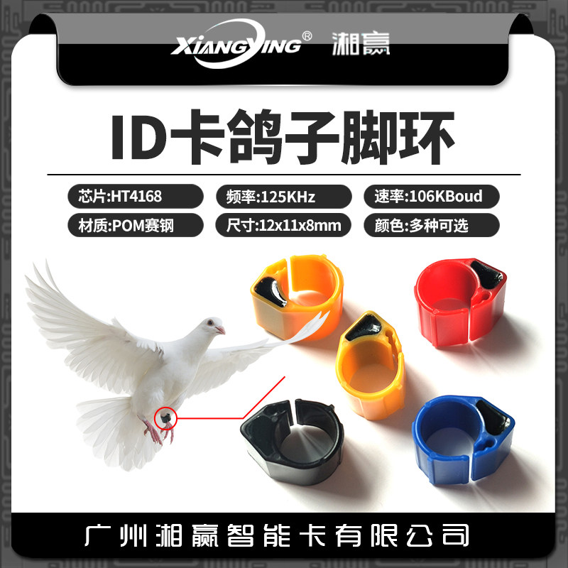 Pigeon foot ring id card: the secret weapon for pigeon fanciers