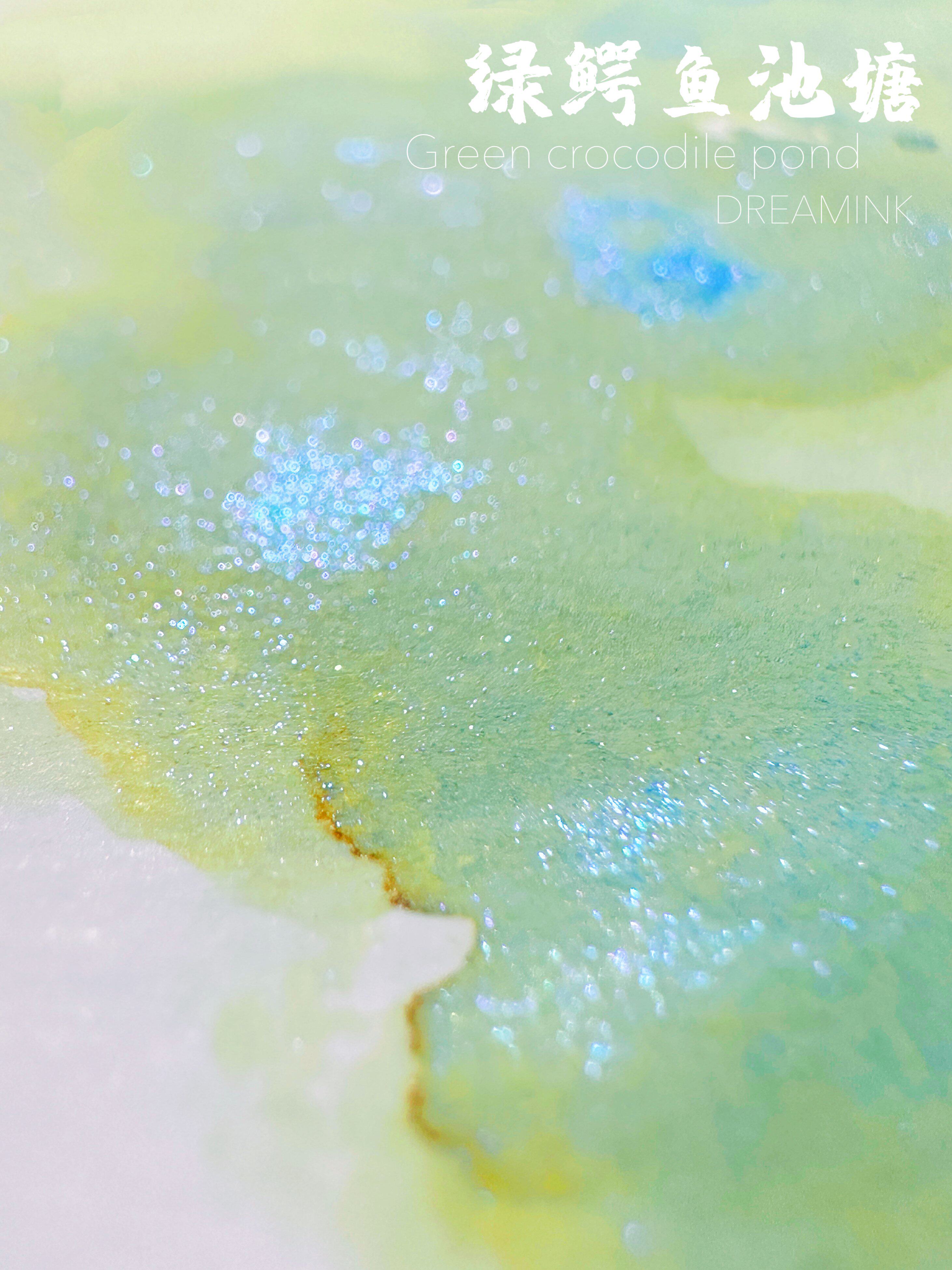 DREAMINK绿鳄鱼池塘？这波DIY墨水让你的手账本秒变艺术品！🎨 -笔用墨水-淘宝好物网