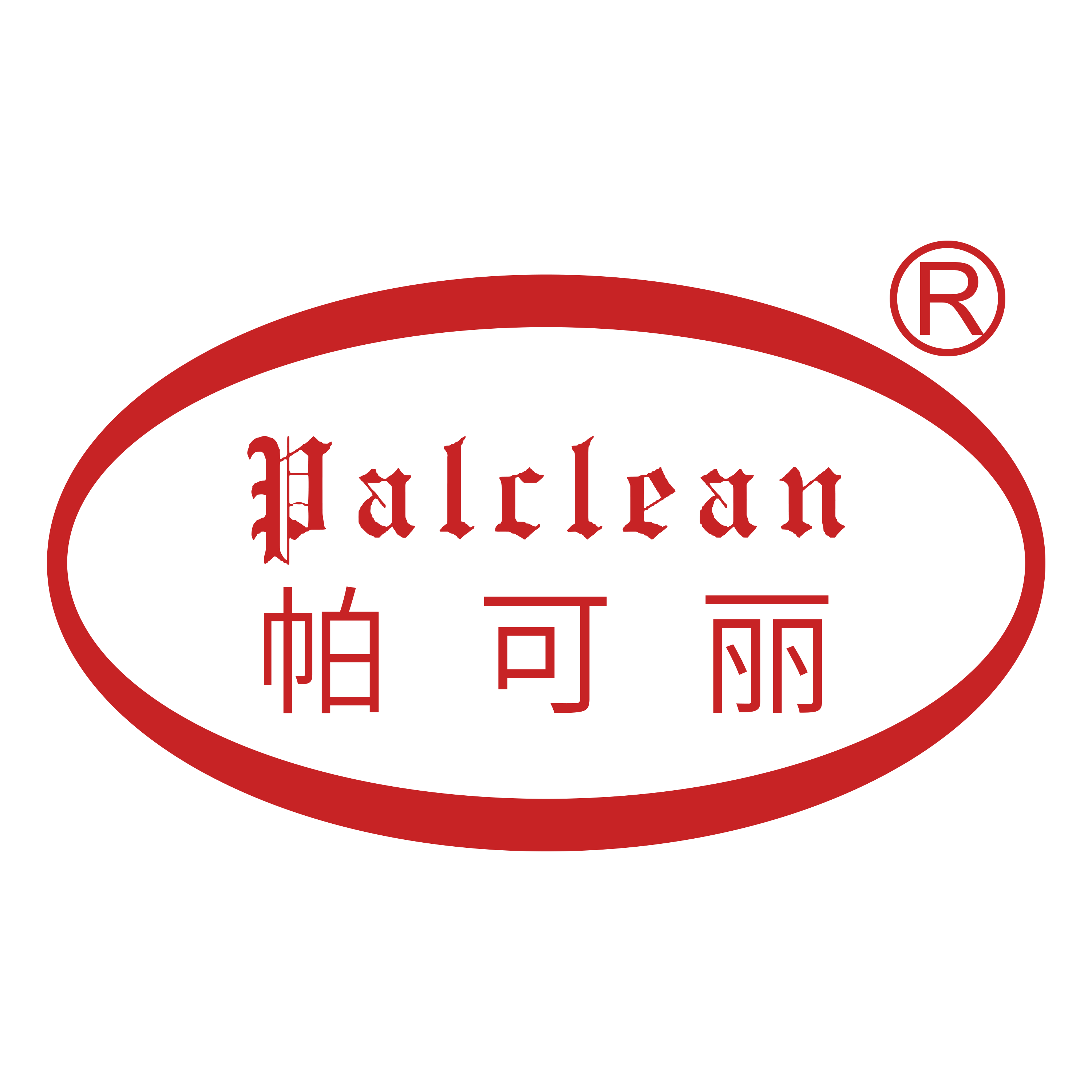 Palclean帕可丽官方店
