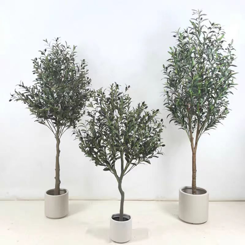 庭院植物园艺