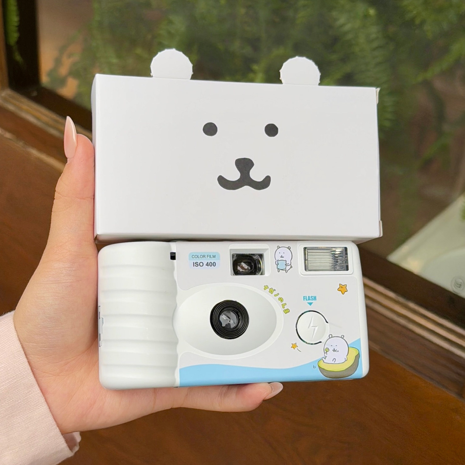 Self-deprecating bear disposable film camera: retroromantic, freeze ...