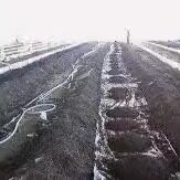 佛山特种养殖