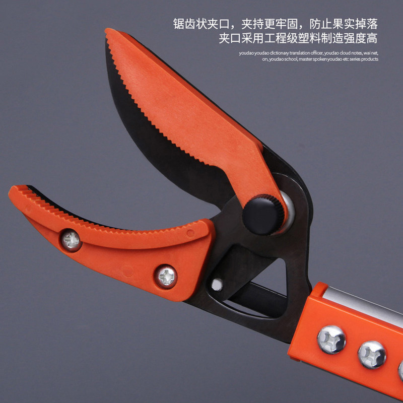 High branch scissors fruit picker saw branch fruit scissors gardening ...