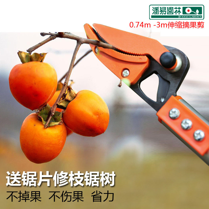 High branch scissors fruit picker saw branch fruit scissors gardening ...