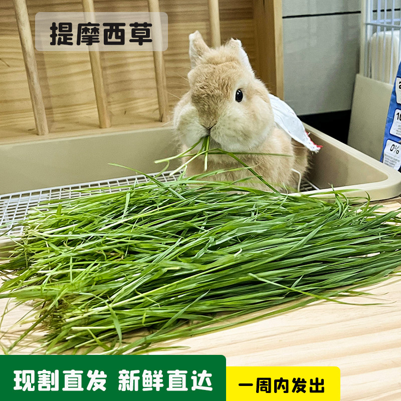 Limited River Zhejiang Shanghai and Fujian Province Fresh South Titian ...