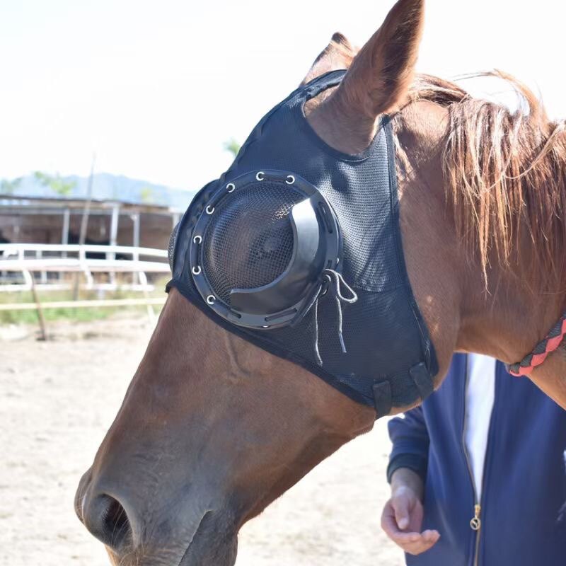 Equestrian competition essential 🐴 - jockey eye mask and bridle cover ...