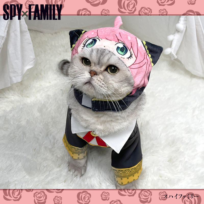 🐱 Aniya's pet version is here! these super cute fudge pet costumes will ...