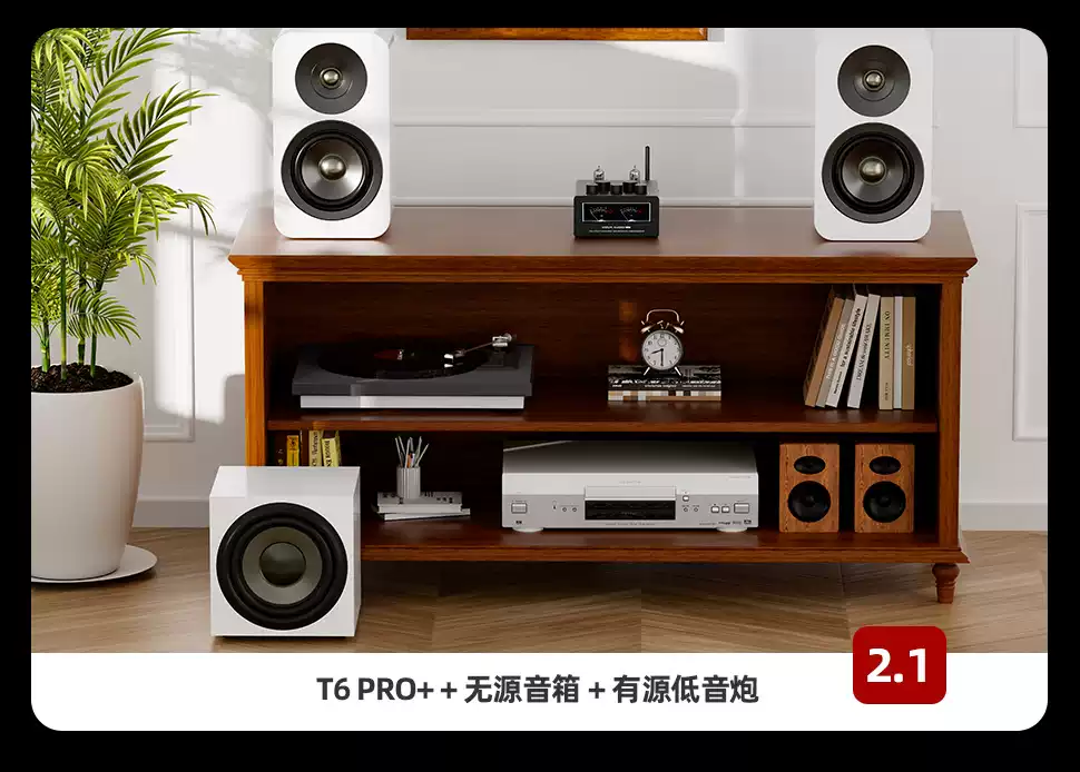 多客T6 PRO 膽機功放 Douk Audio 藍牙合併式 300W大功率