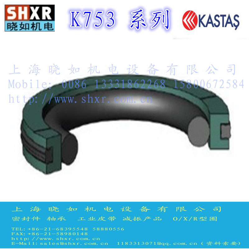 K753 Series KASTAS KASTAS Seals Seals Imported seals KASTAS Oil seals