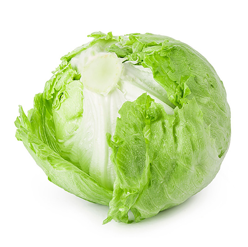 [USD 8.35] Fresh Globular Lettuce Western Lettuce Round Lettuce Light ...