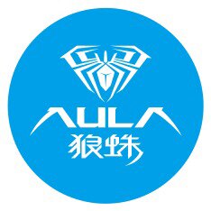 Aula狼蛛电玩企业店