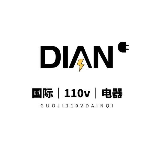 国际110v电器