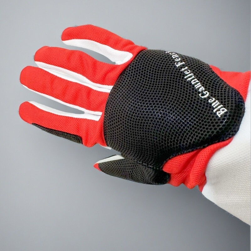 2025 new rule non-slip fencing gloves: foil hand guards, universal fit ...