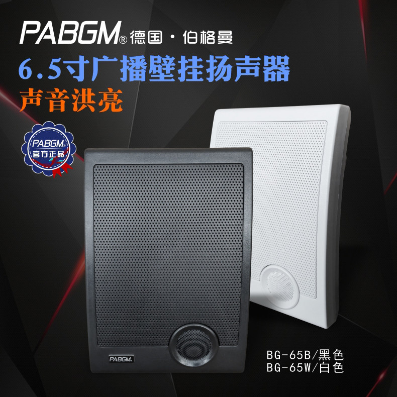 PABGM挂壁式蓝牙扬声器音响：校园广播新风尚，黑白配色引领潮流！-吸顶音箱-淘宝好物网