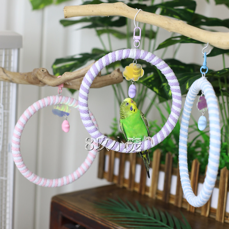 Parrot's secret to happiness: 8-joy swing stand 🐦