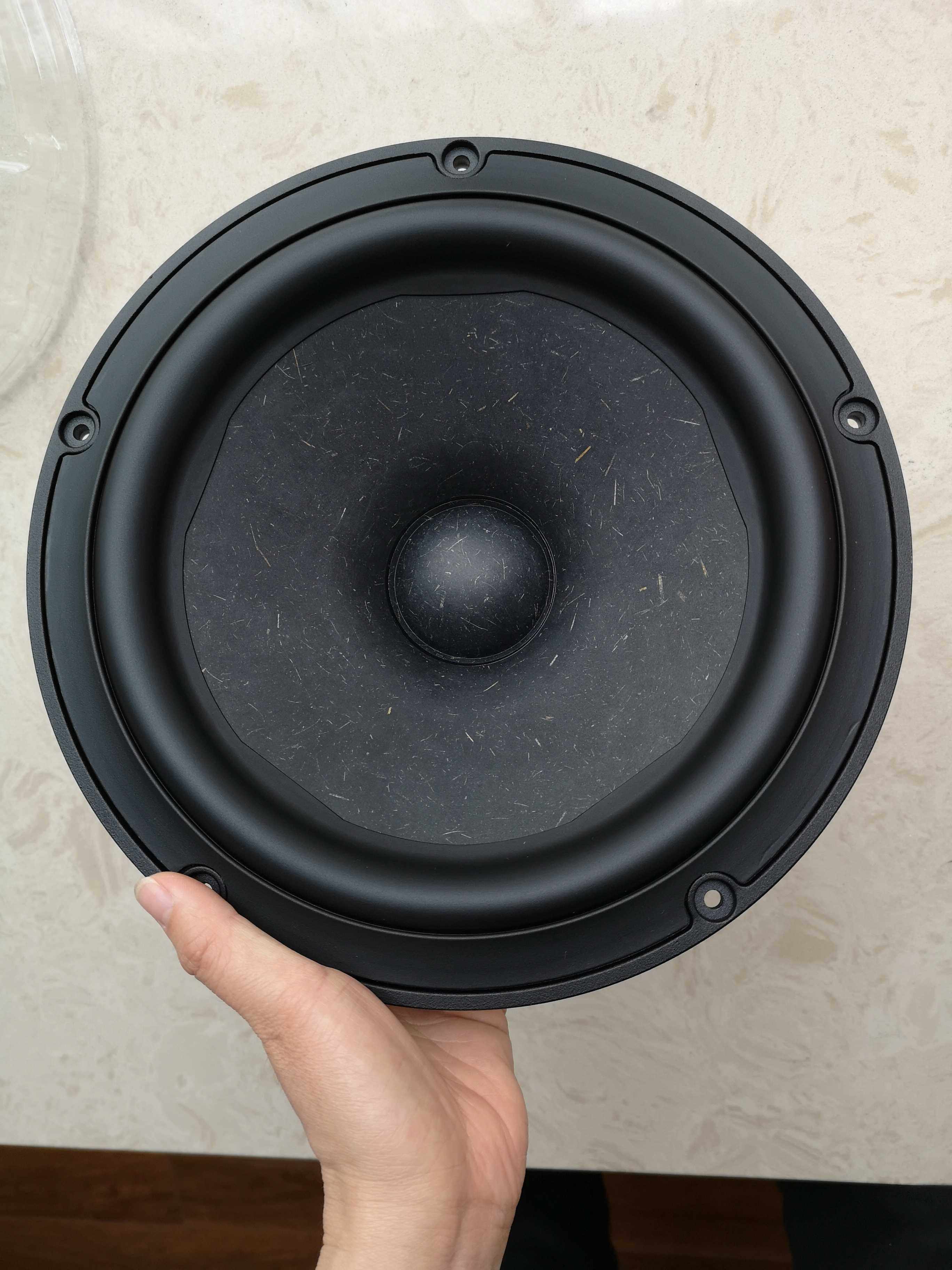 丹麦Vifa Ne265 10寸发烧中低音喇叭，音乐发烧友的新宠？-喇叭/扬声器-淘宝好物网